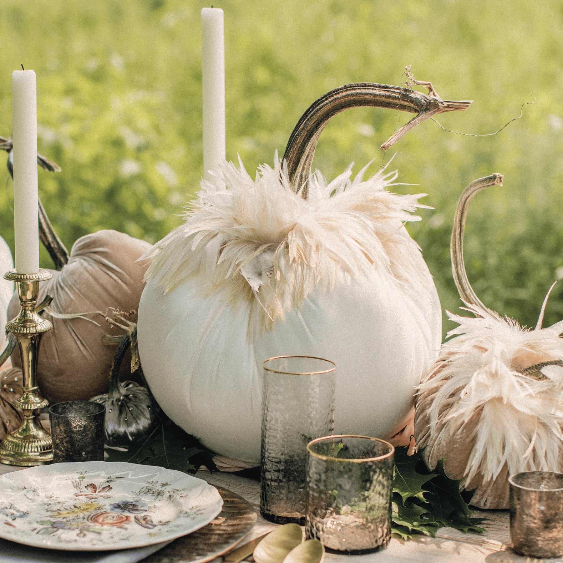 Handmade Velvet Pumpkins with Real Stems | Hot Skwash - hotskwash