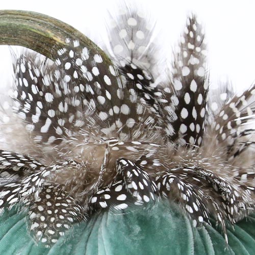 Feathered Silk Velvet Pumpkins | Hot Skwash - hotskwash