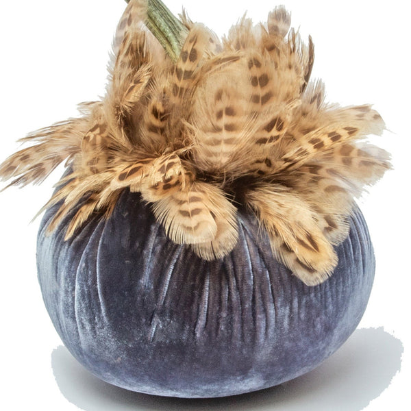 Hot Skwash | Silk Velvet Pumpkins -Denim w/Natural Ringneck Pheasant ...