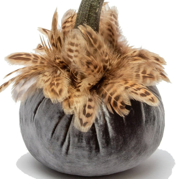 Hot Skwash | Silk Velvet Pumpkins -Graphite w/Natural Ringneck Pheasant ...
